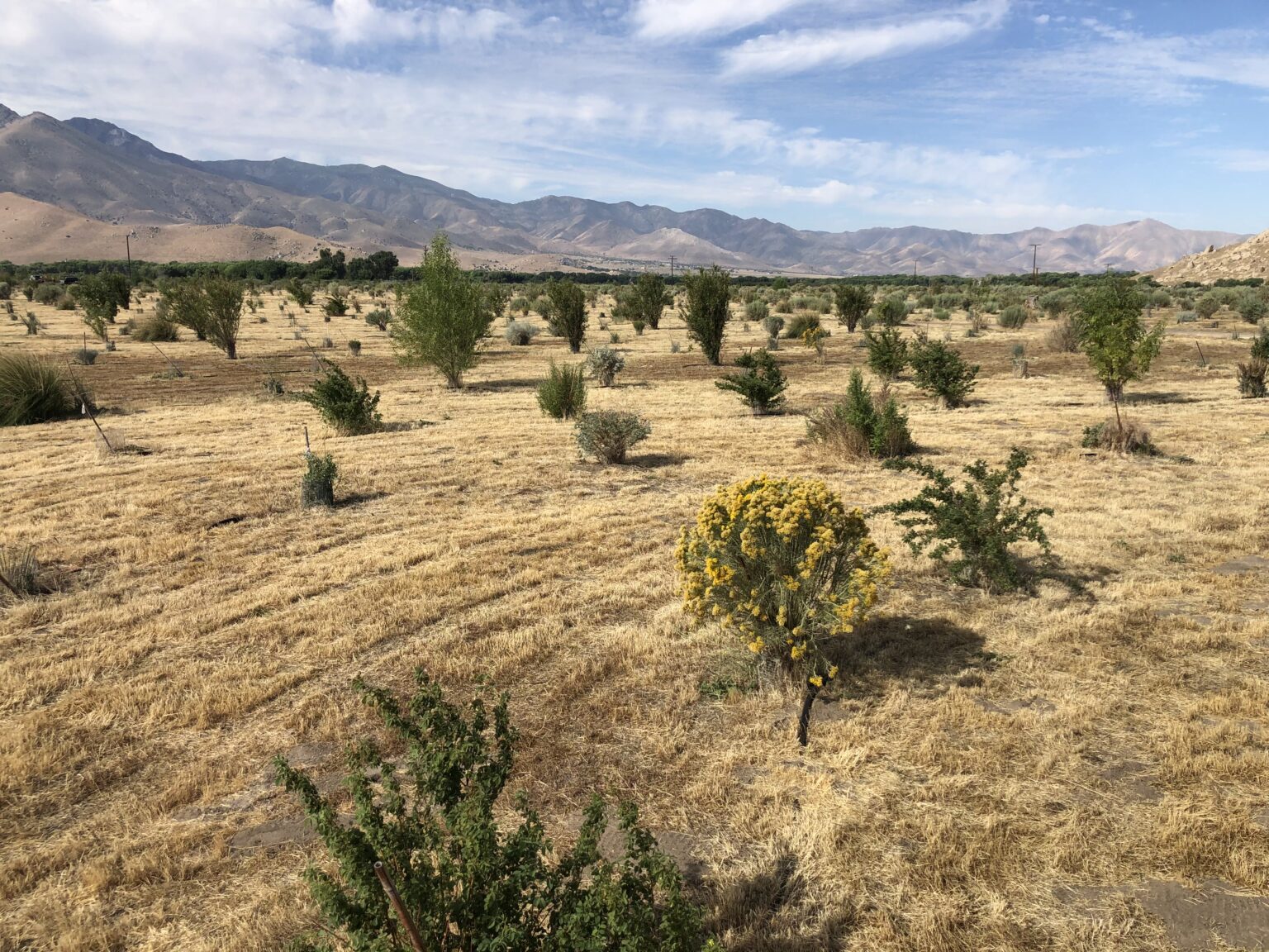 ISABELLA LAKE – DAM SAFETY MODIFICATION PROJECT – Landology
