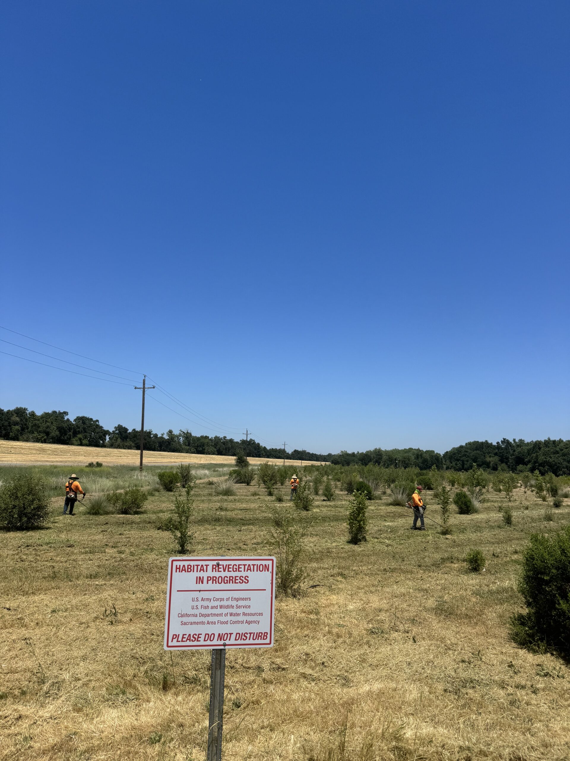 Projects – Landology